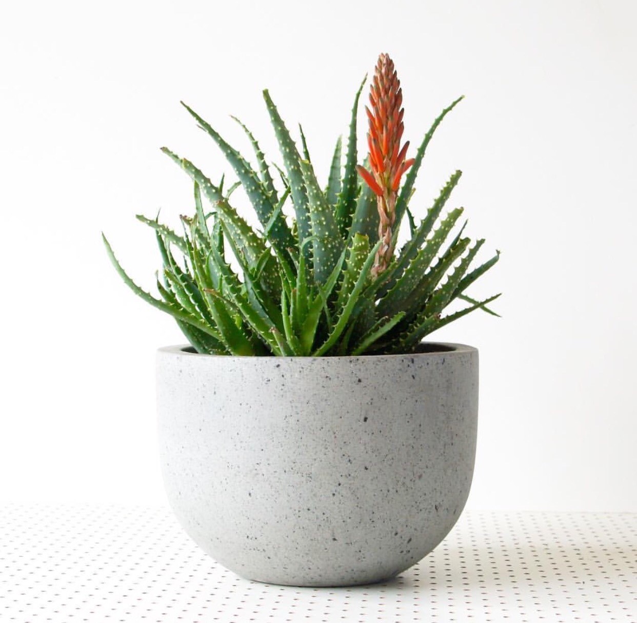 SHORT POT - PLAIN. Outdoor Designer Store